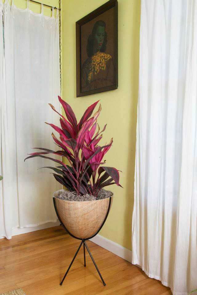 The Retro Bullet Planter by Hip Haven™