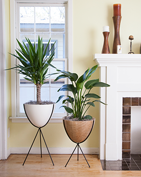The Retro Bullet Planter by Hip Haven™