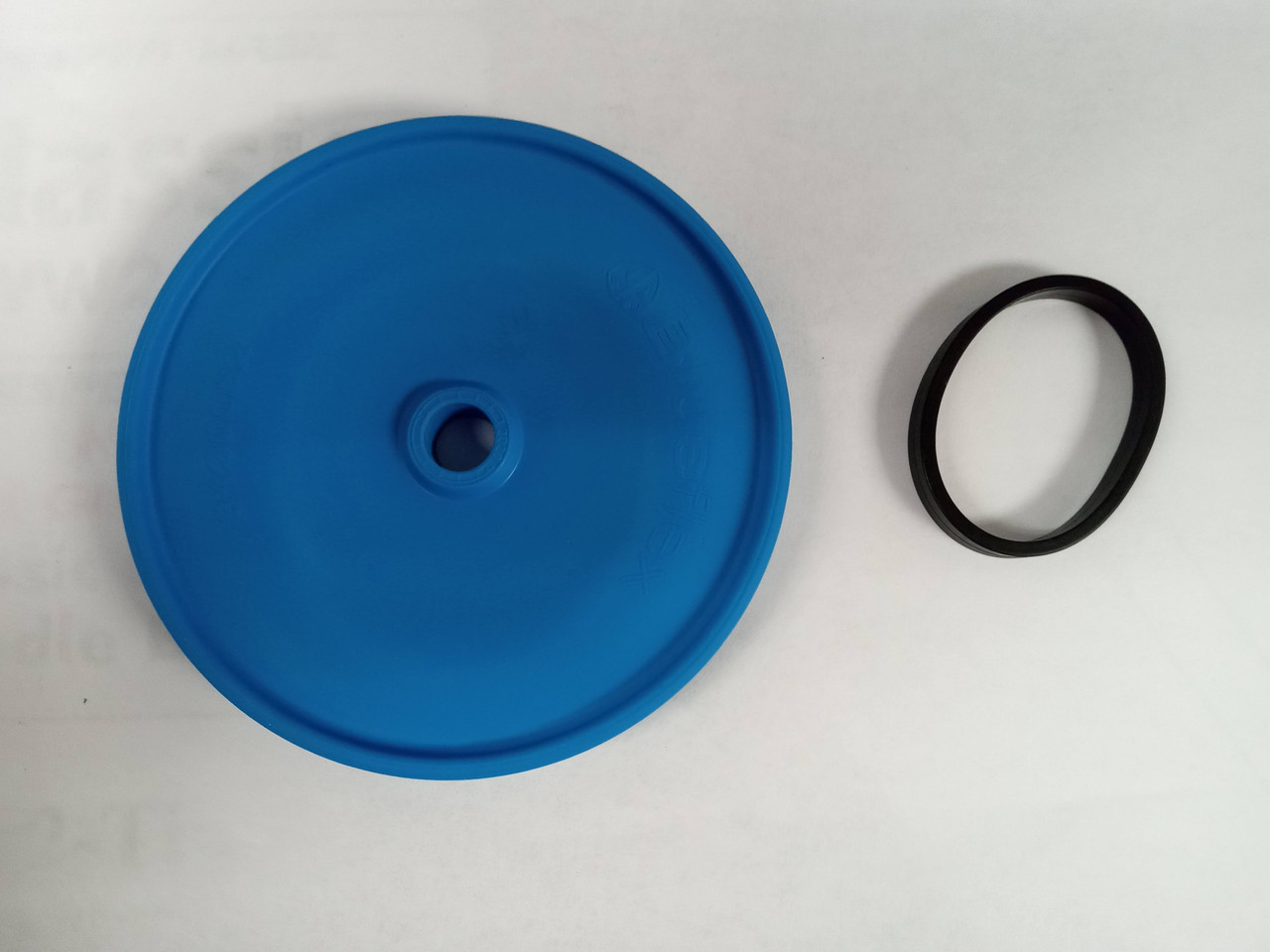 #38 AR45 43239 Blueflex Diaphragm Kit - thePumpOutlet.com