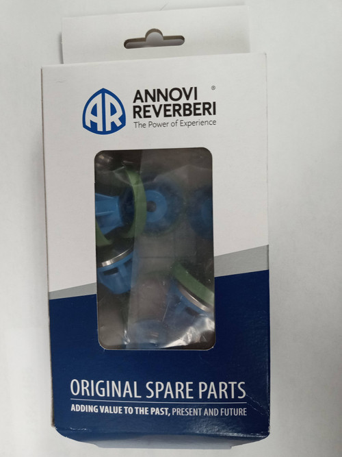 AR 45 Check Valve Kit - BlueFlex - thePumpOutlet.com