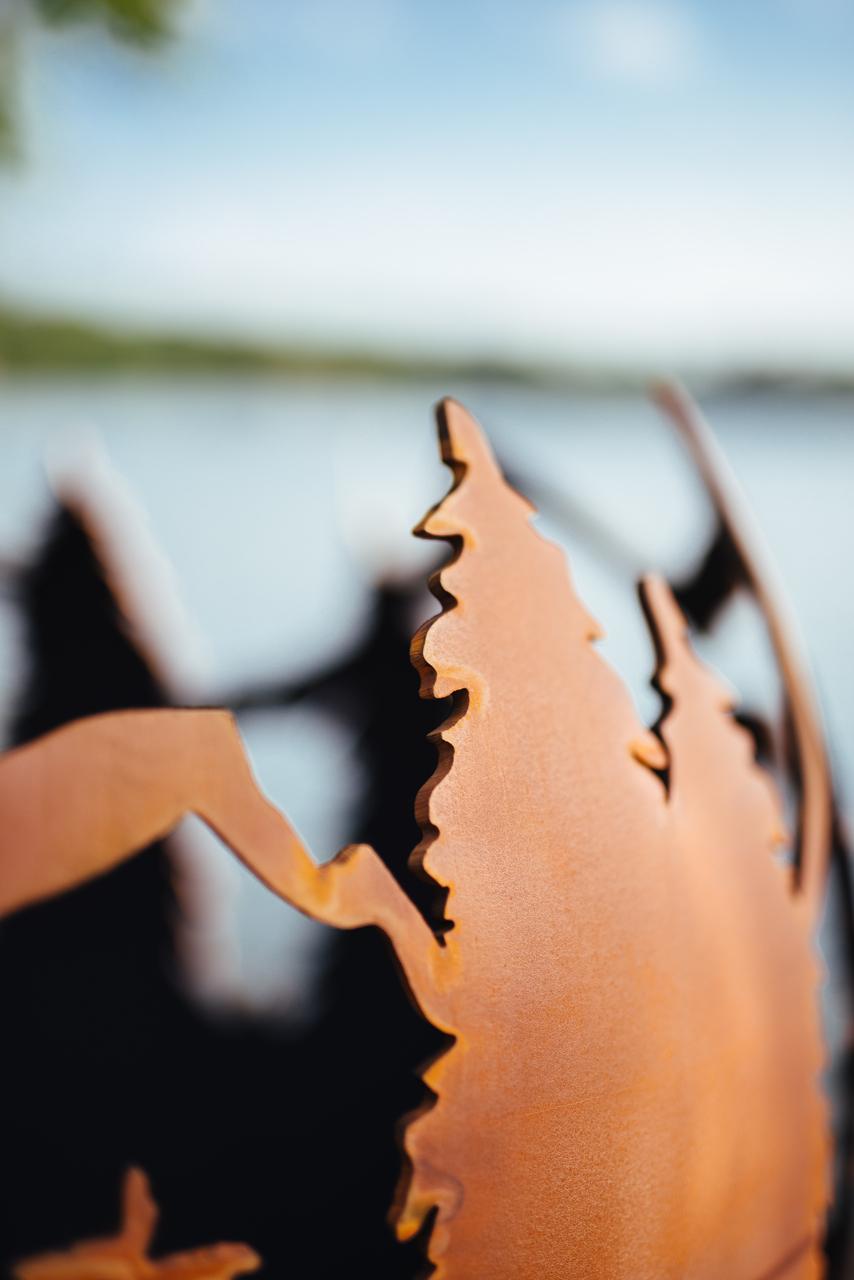 The Enduring Elegance: Using 1/4 Inch Mild Carbon Steel for Fire Pit ...