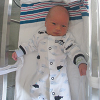 Posey 4733 Infant LIMB HOLDERS - 12 PAIRS PER BOX - Estate Medical