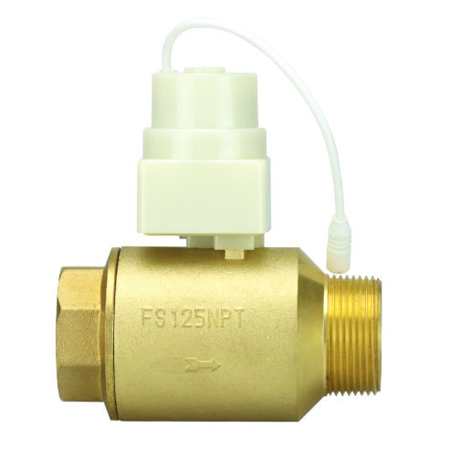 FloodStop 20087/FSAV125NPT 1 1/4" NPT Motorized Valve