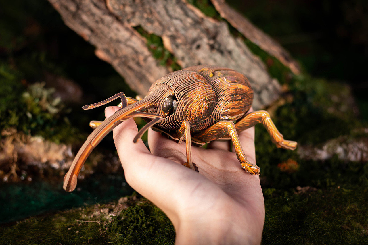 Make Bug - Weevil 3D Puzzle, Bring Nature Home - B0004 - Active Powersports