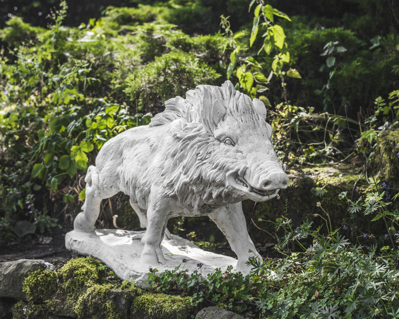 Large Stone cast Boar garden ornament