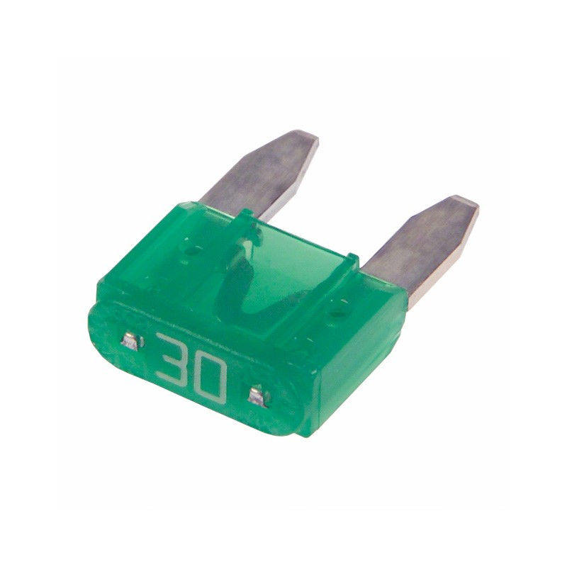 Fuse- ATM 30- 30 Amp- Mini Automotive Fuse - Surry General Store