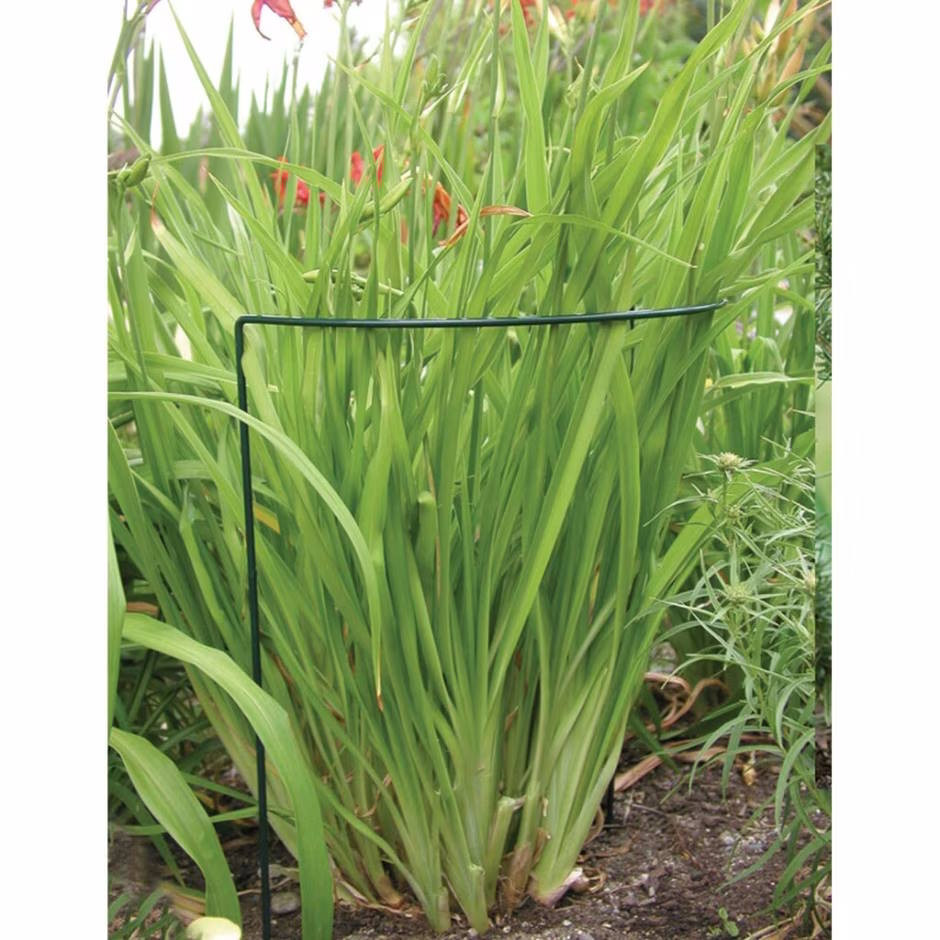 Plant Support- 15" x 30"- U Support - Surry General Store