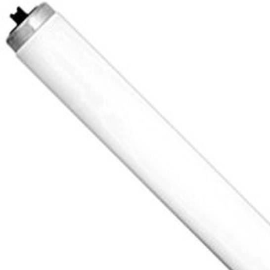 Fluorescent Bulb- F48T12/CW/HO - Surry General Store