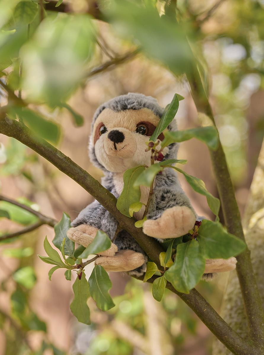 Cuddle Cub Sloth |Sweet & Huggable Bear | Charlie Bears, AU
