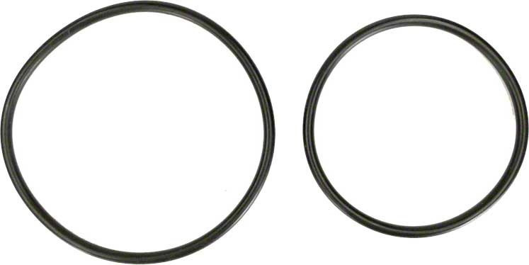 Hayward O-Ring Kit ProGrid, SwimClear, Set of 2, DEX2420Z8A - EZ Pool ...