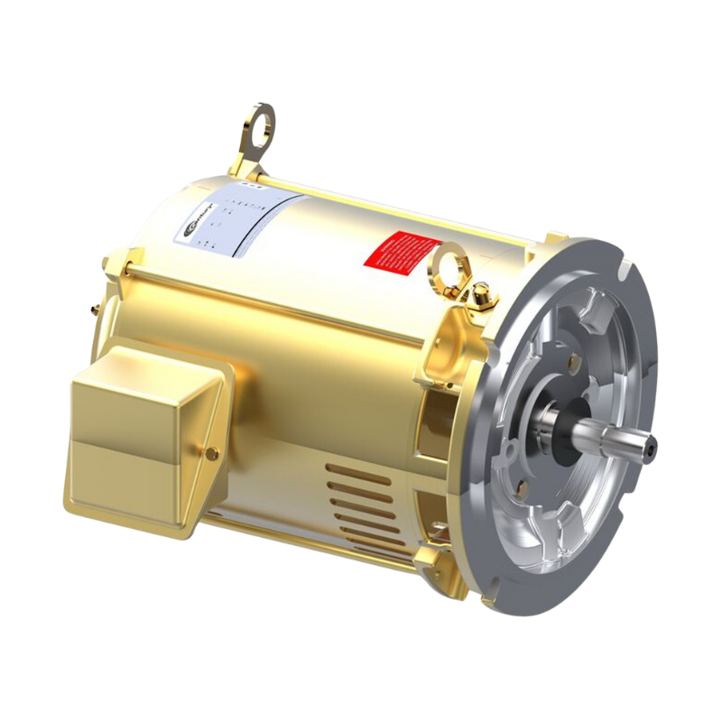 Replacement Pool Pump Motors