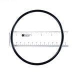 Pentair EQ Series Pump 3/16" x 4-7/8" Diffuser O-Ring, 350037Z - EZ Pool & Spa Supply