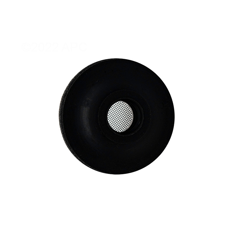 Pentair 1-1/4" x 7/8" Triton II Air Relief Strainer, 150035Z - EZ Pool ...