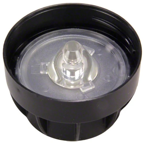 Pentair IntelliBrite Landscape Light Lens Cap, 619790Z - EZ Pool & Spa ...