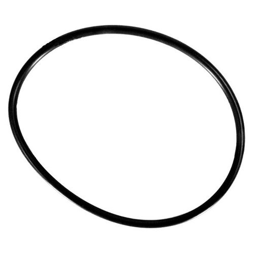 Hayward Chlorinator Cover O-Ring - Viton CLX200K - EZ Pool & Spa Supply
