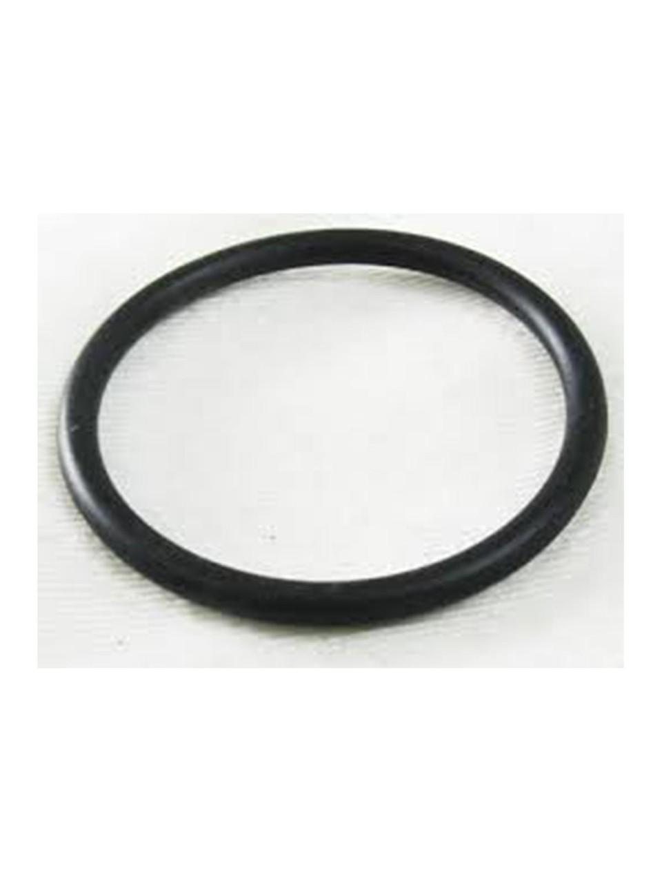 Pentair Set Packing Ring, S13470 - EZ Pool & Spa Supply