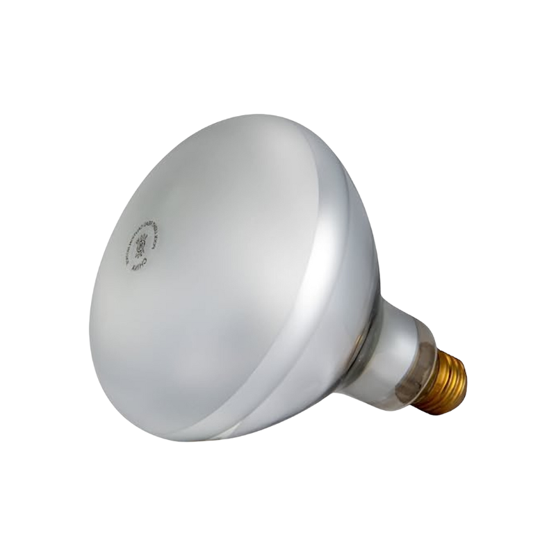 Pools Lights at EZ Pool & Supply