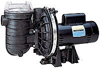 Parts - Pump Parts - Sta-Rite Pump Parts - Page 1 - E-Z Test Pool Supplies