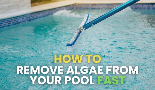 5 Steps To Remove Algae from Your Pool Quickly - EZ Pool & Spa Supply