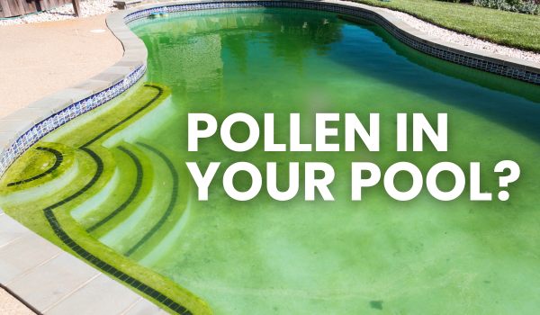 Dealing with Pollen in Your Pool During Spring? - EZ Pool & Spa Supply