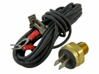 Raypak Auto-Reset High Limit Switch 600893B - EZ Pool & Spa Supply