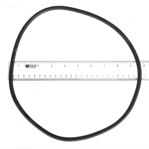 Pentair Top Tank Gray O-Ring, U9-301 - EZ Pool & Spa Supply