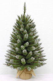 3ft Pittsburgh Spruce Christmas Tree (91cm) - Father Christmas Designs