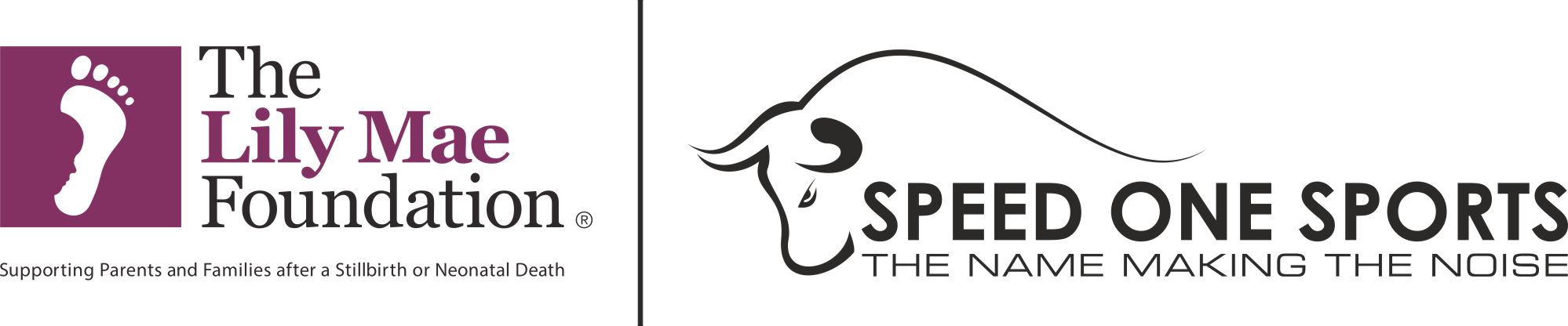 Speed One Sports and The Lily Mae Foundation - Speed One Sports