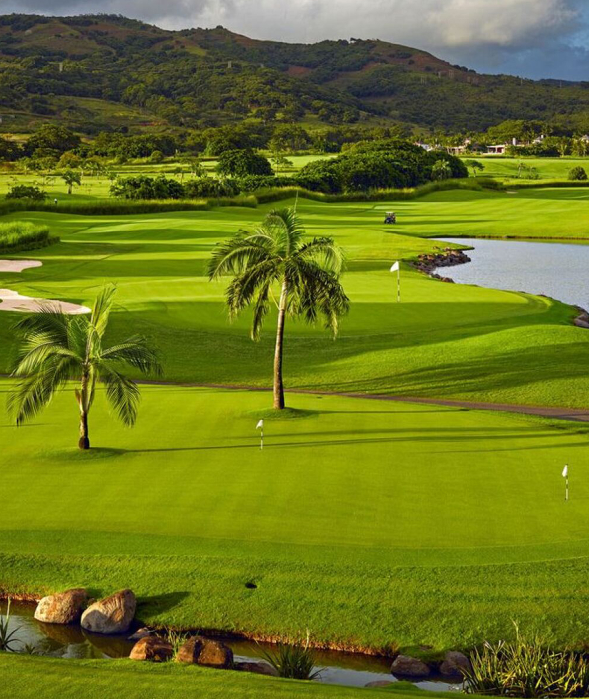 Ace the Aesthetic: Golf Core - THE UPSIDE INTERNATIONAL