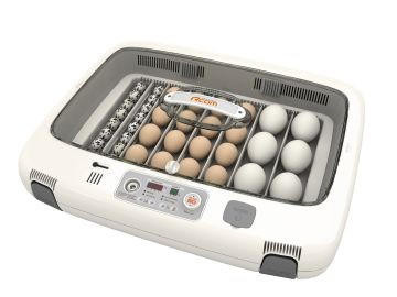 Rcom 50 DO Max Incubator | Stromberg's Chickens