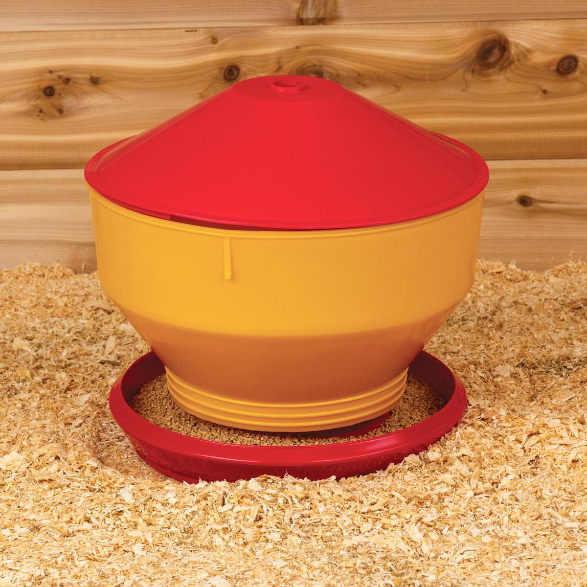 Lid for Hanging Feeder | Stromberg's Chickens