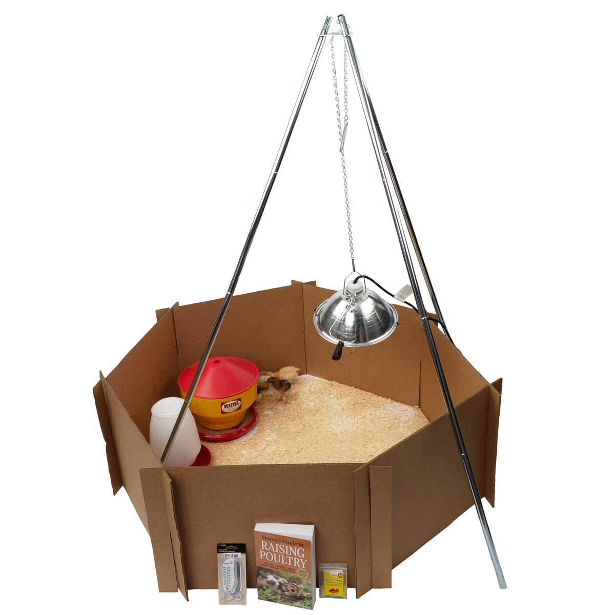 Baby Chick Care Package, Basic | Stromberg's Chickens