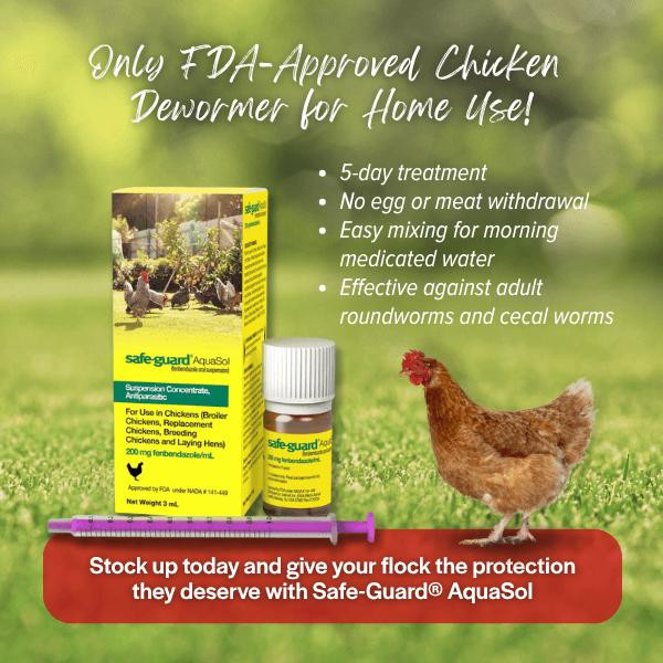 SAFE-GUARD® AquaSol, Dewormer for Chickens | Stromberg's