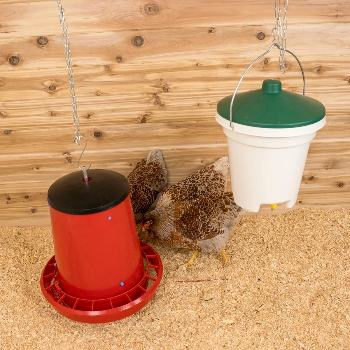 Feed 'Em Water 'Em Kit | Stromberg's