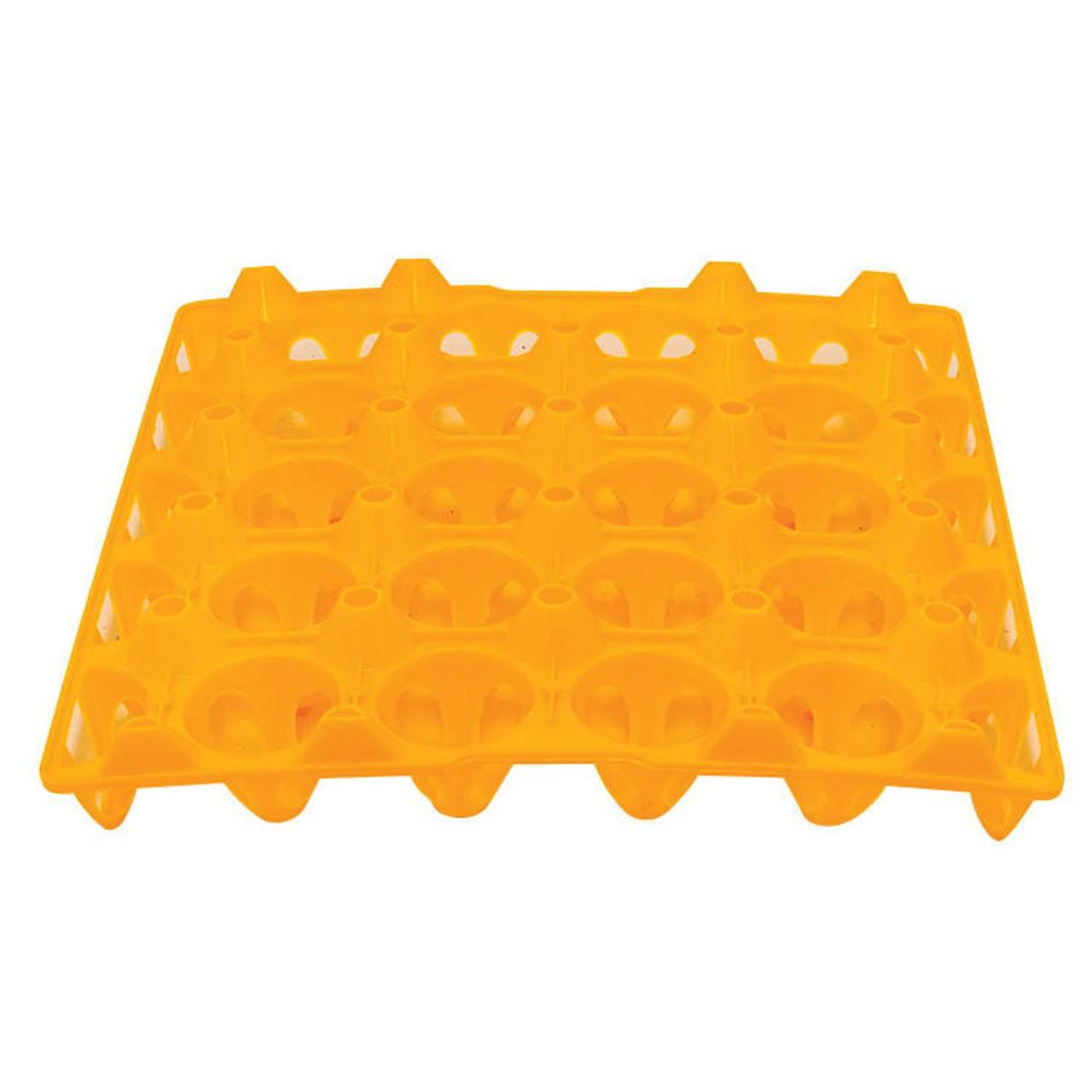 30 Egg Capacity Plastic Jumbo Egg Tray | Stromberg's Chickens