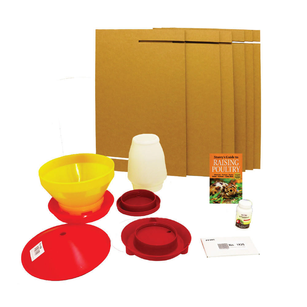 Basic Chick Brooder Kit | Stromberg's Chickens