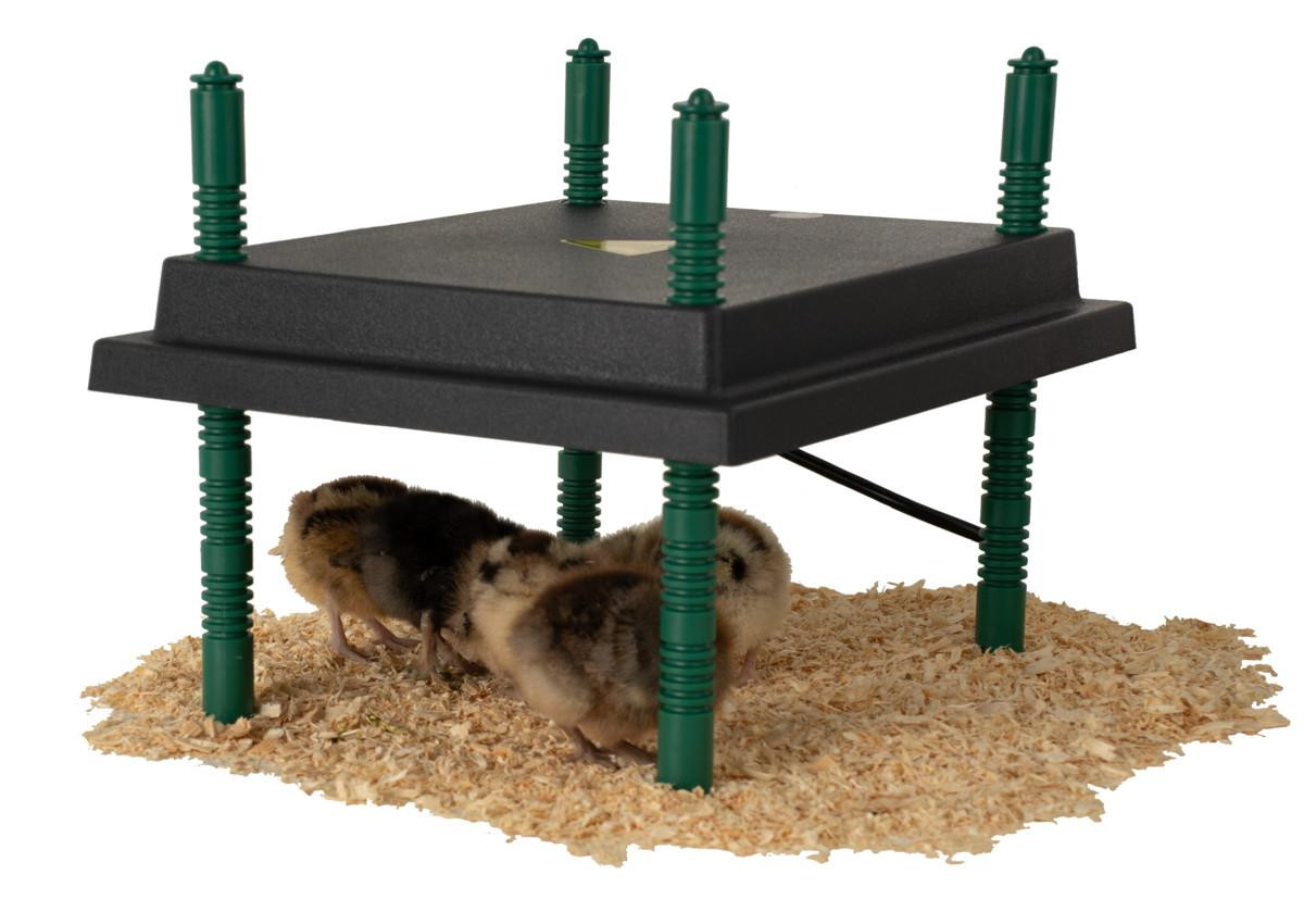 Chick Brooder Heating Plate - Sizes Available | Stromberg's