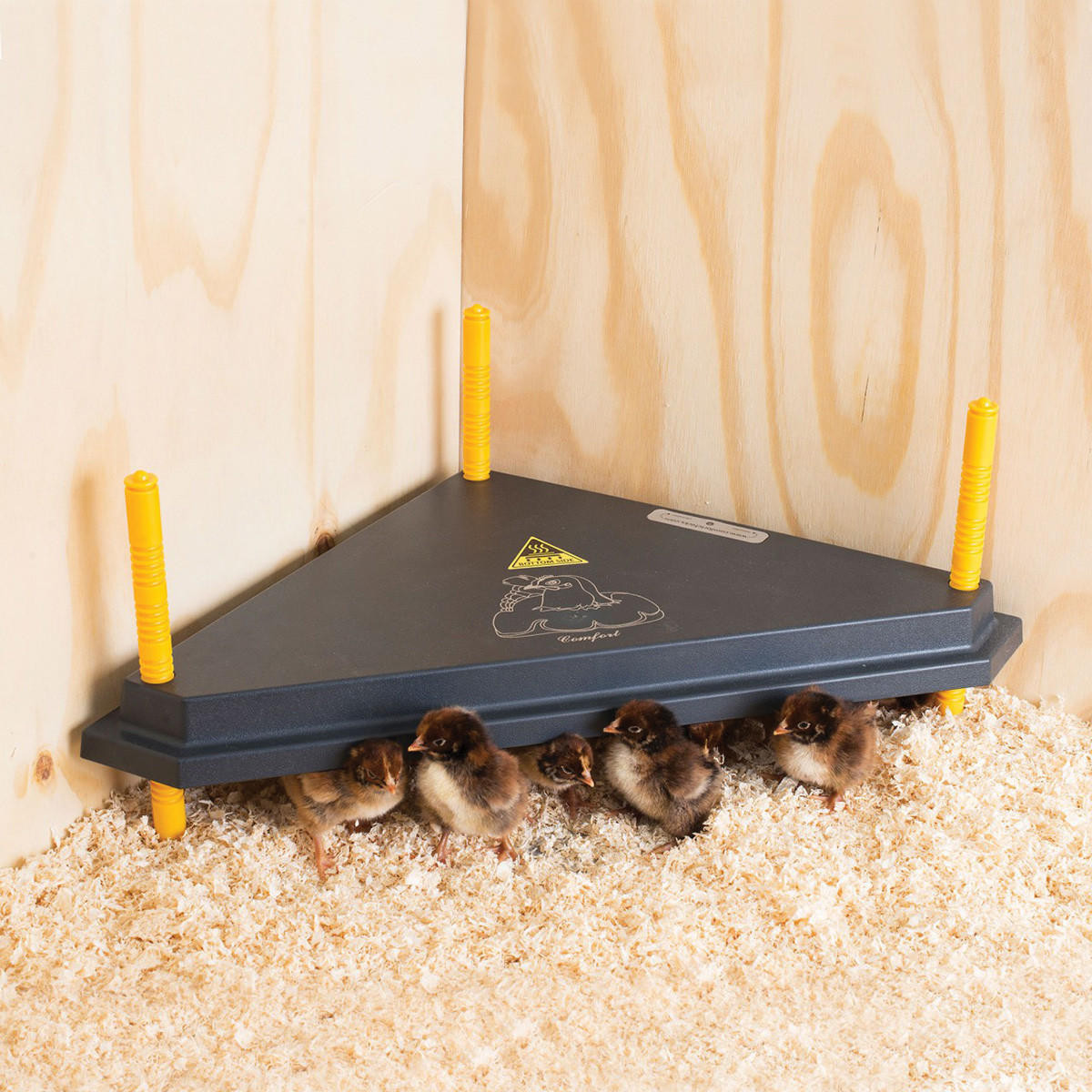 Chick Brooder Heating Plate - Sizes Available | Stromberg's