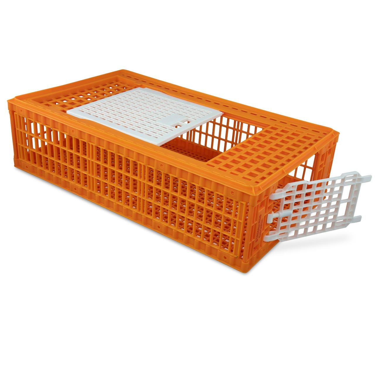 Economy Transport Crates | Stromberg's Chickens