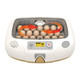 Rcom 20 DO PRO Incubator | Stromberg's Chicken