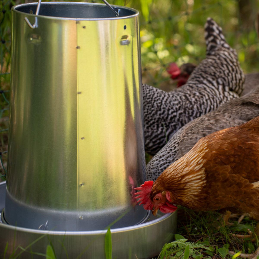 Metal Hanging Poultry Feeder - 44 LB