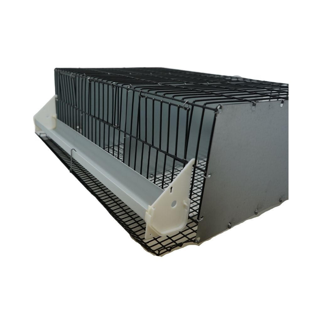 3 Section Quail Breeder Pen | Stromberg's Chickens