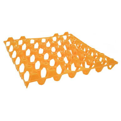 30 Egg Capacity Plastic Jumbo Egg Tray | Stromberg's Chickens