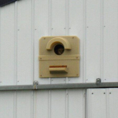 Barn Owl Nest Box