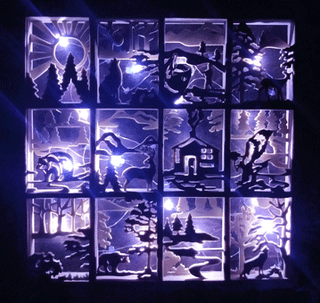 Nature shadow box