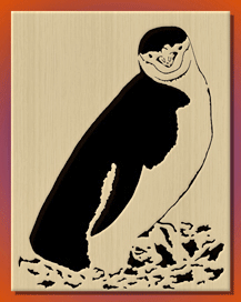 Chinstrap penguin - Scroll Saw Artist