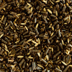 ProElite Performance - Essex County Co-Op