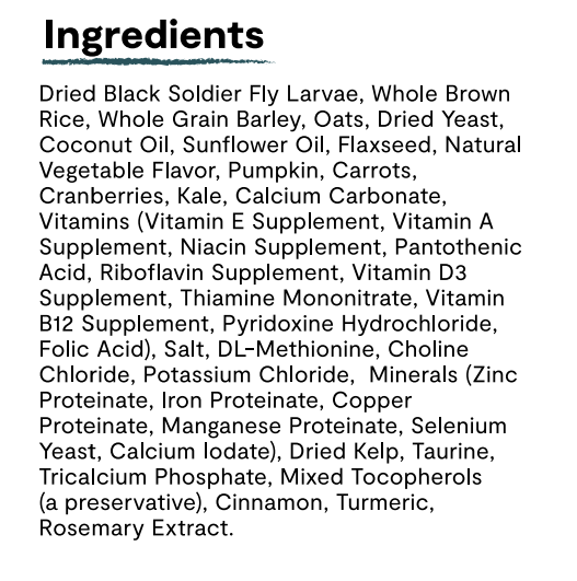 Open Farm Kind Earth Premium Insect Kibble Recipe - Essex County Co-Op