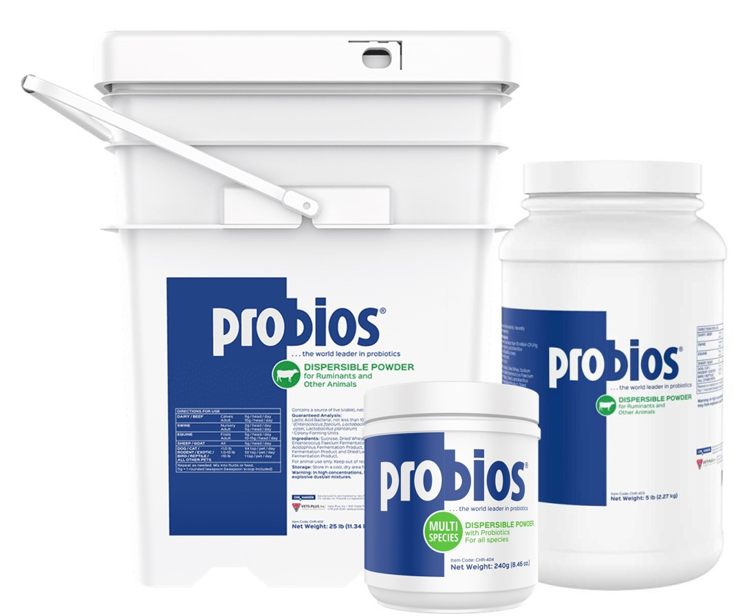 Probios Dispersible Powder