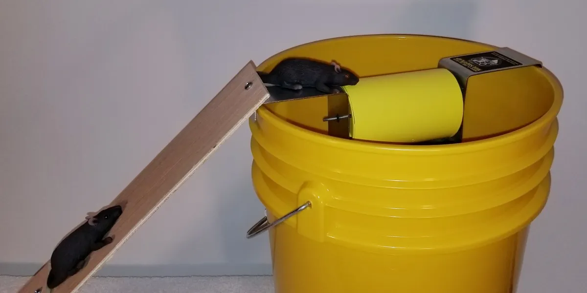 Drop in the Bucket Mouse Trap® - Essex County Co-Op